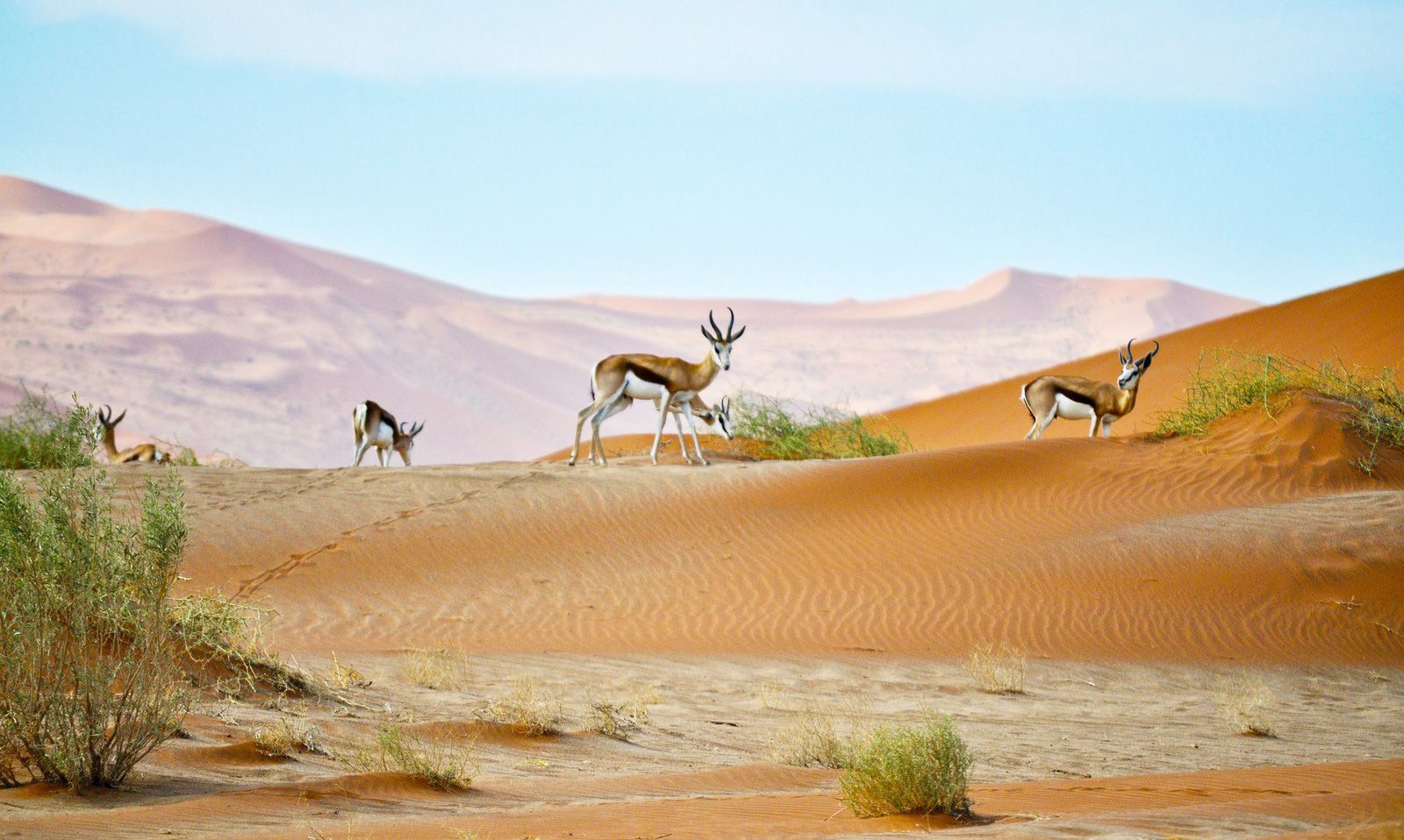 Get reliable eSIM for international travel in Namibia with AloOui ...